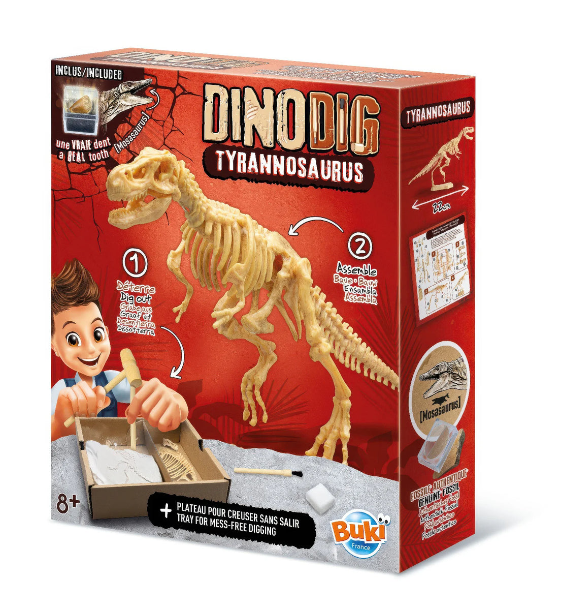 BUKI France Dino Dig T-Rex Skeleton Building Kit – TOYBOX