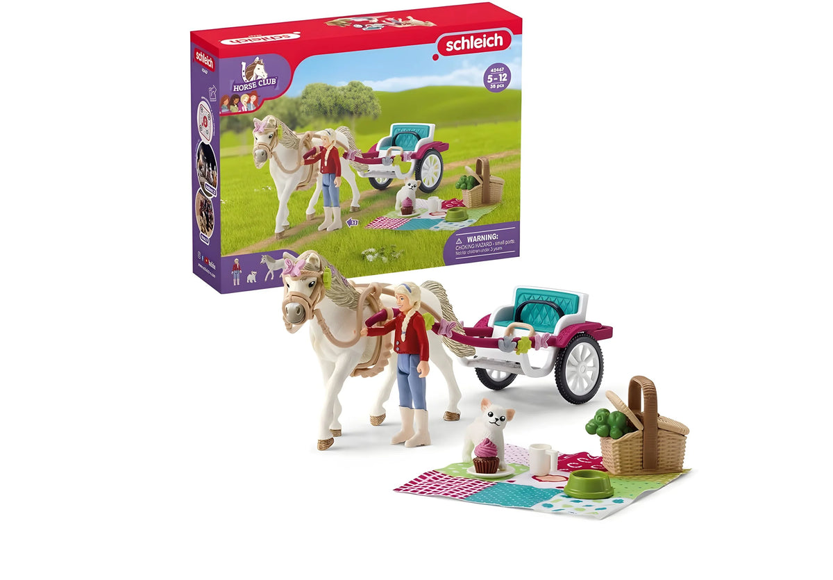 Tips for Starting and Growing Your Schleich Figures Collection – TOYBOX