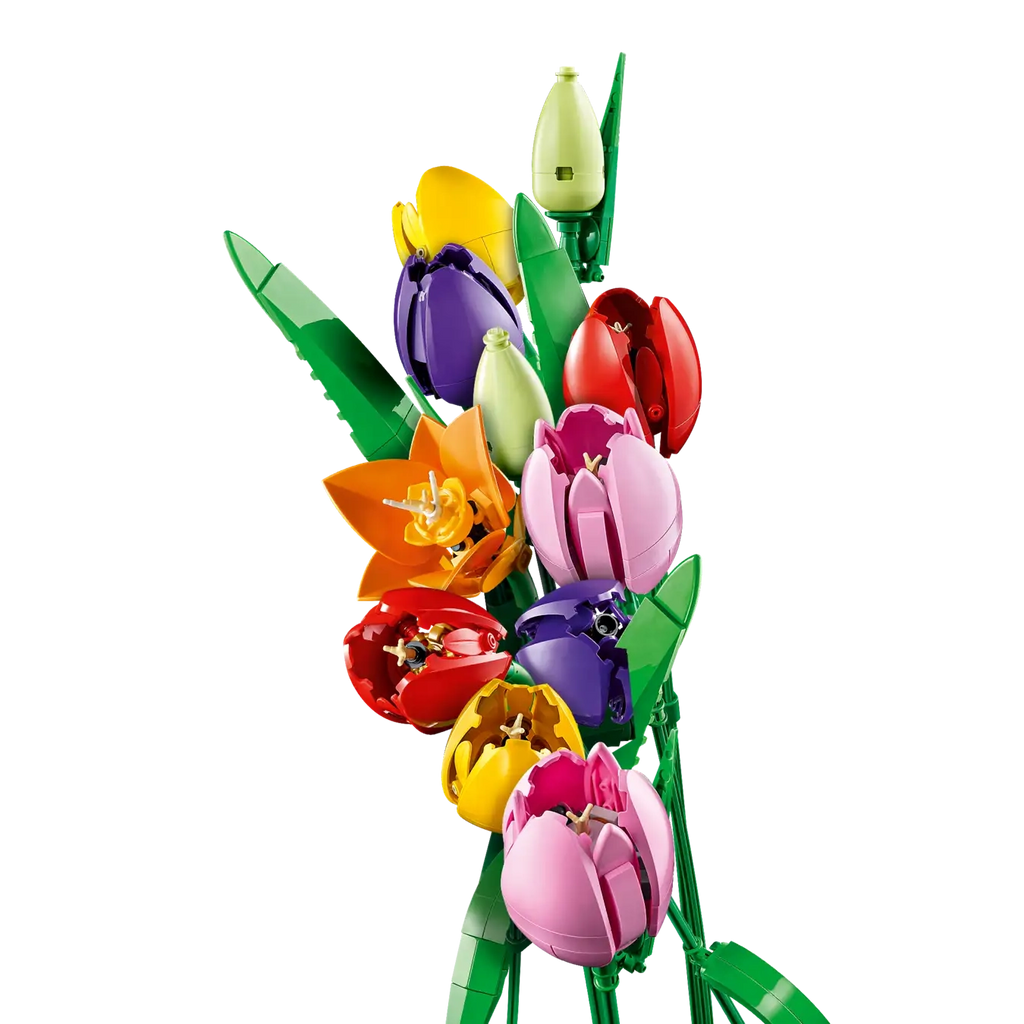 LEGO Botanicals 10349 Happy Plants | Buy Online at ♥️ TOYBOX