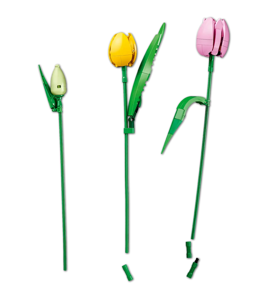 LEGO Botanicals 10349 Happy Plants | Buy Online at ♥️ TOYBOX